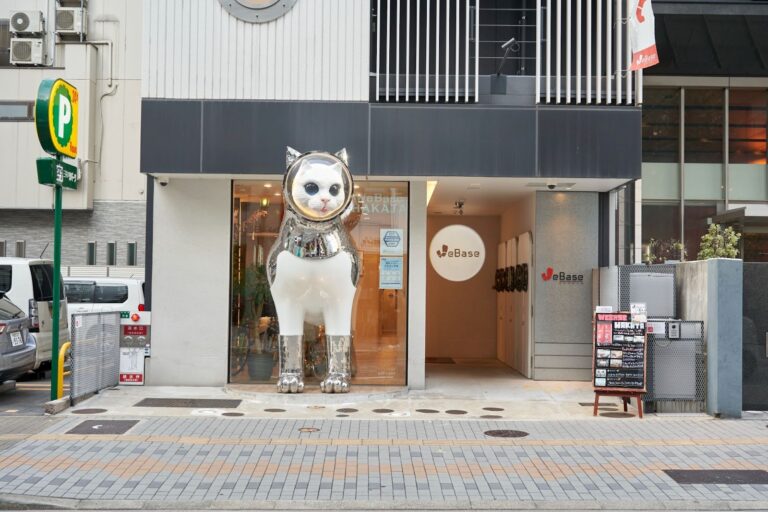 インパクト大＆不思議な猫【SHIP’S CAT】 ｜ WeBase 博多